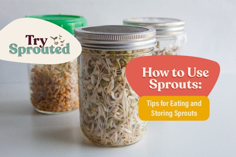 How to Use Sprouts: Tips for Eating and Storing Sprouts