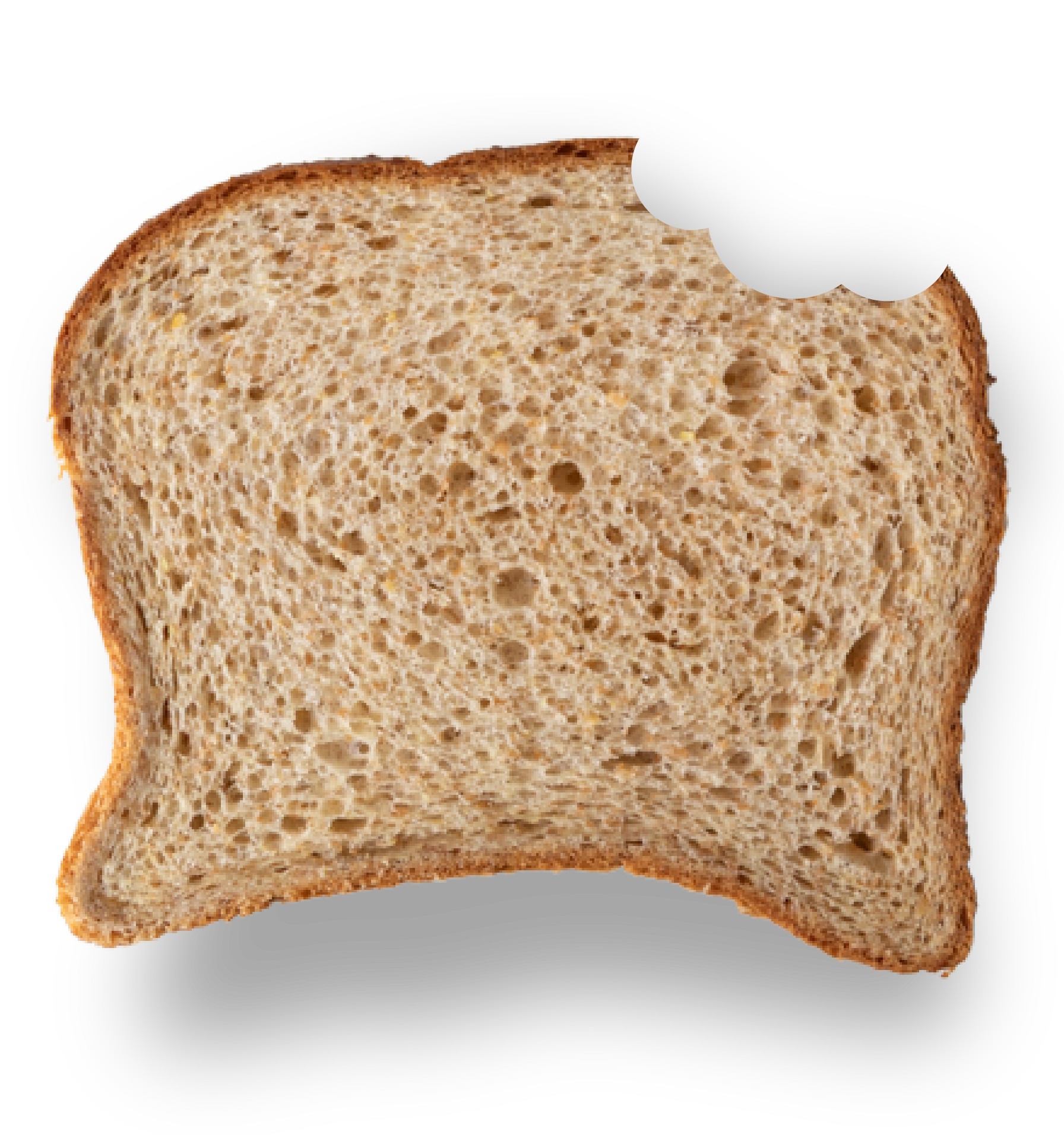 Smooth & Sprouted Protein Bread Bread - Silver Hills Bakery